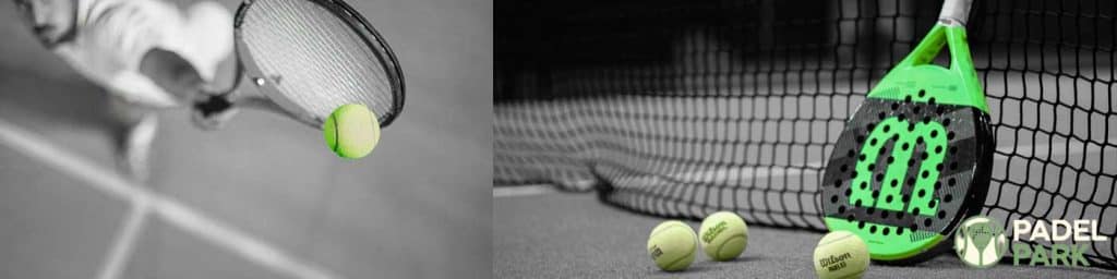 Padel Tennis Fastest Growing Sport - Padel Park Dubai